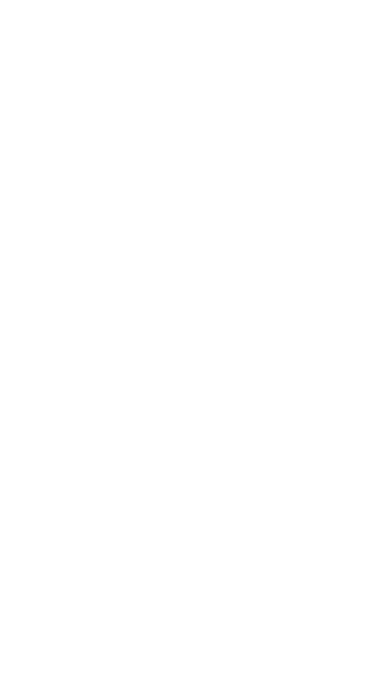 Linvo Rave 60000 Pro (4pc/Carton) [Federal] – Nimbus Distro