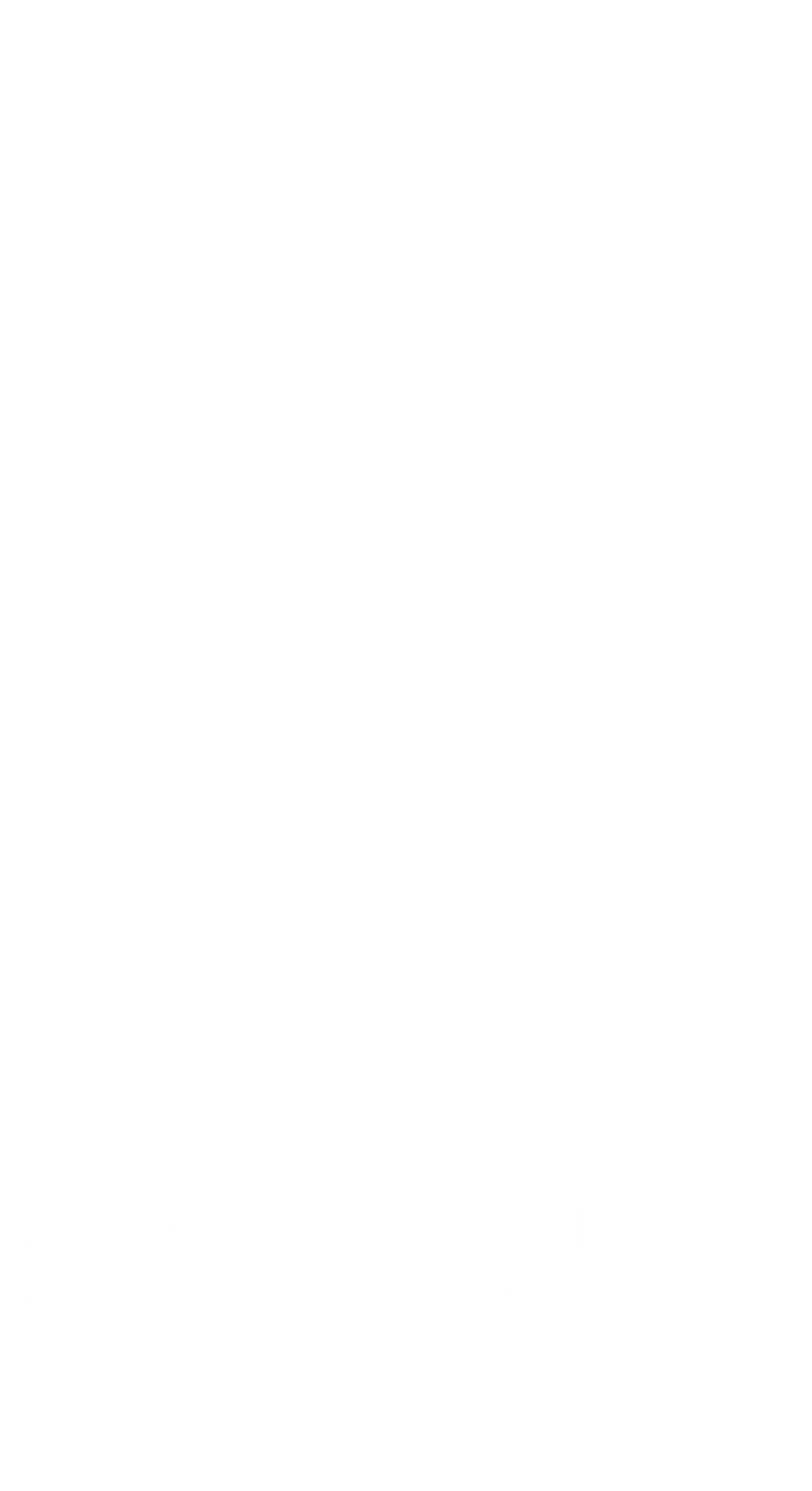 Linvo Rave 60000 Pro (4pc/Carton) [Federal] – Nimbus Distro